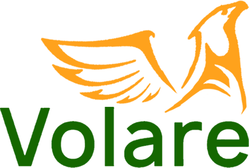 VolareGSI-logo – Volare General Services, Inc.